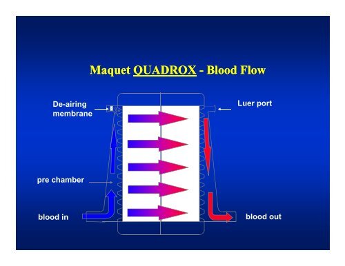 Maquet QUADROX - Blood Fl