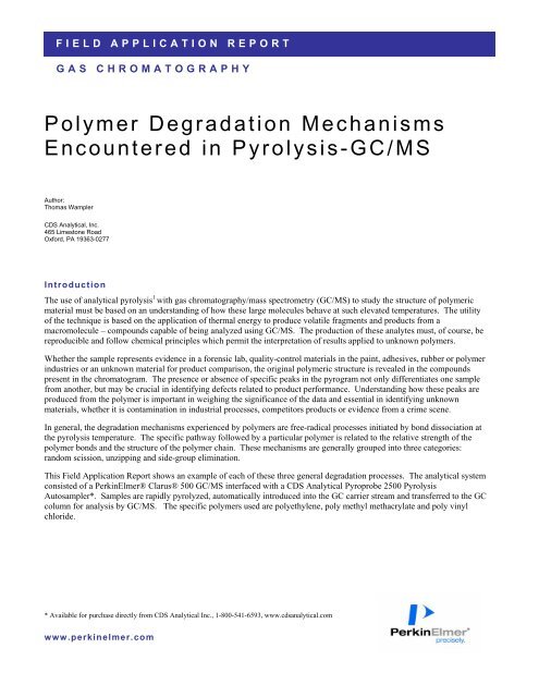 Polymer Degradation Mechanisms Encountered in Pyrolysis-GC/MS