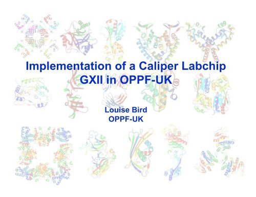 Implementation of a Caliper Labchip GXII in OPPF-UK - PerkinElmer