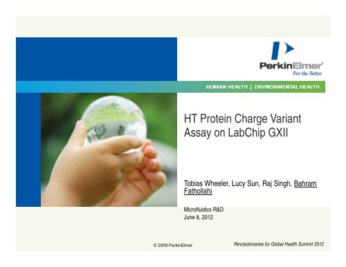 HT Protein Charge Variant Assay on LabChip GXII - PerkinElmer