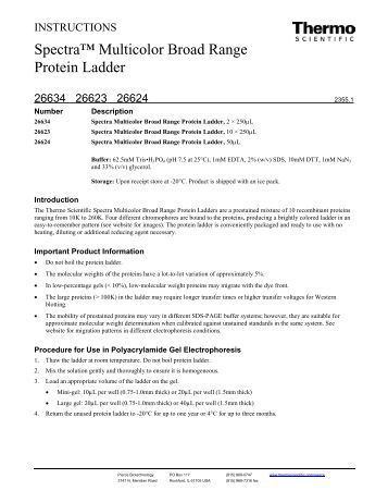 PageRuler™ Broad Range Unstained Protein Ladder - Pierce