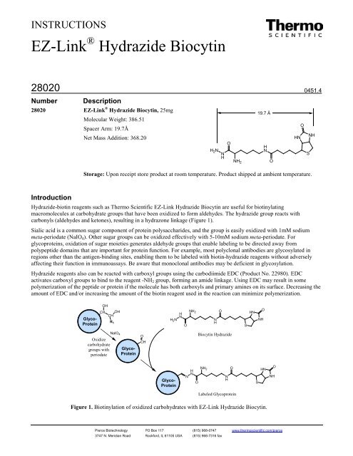 EZ-Link Hydrazide Biocytin - Pierce