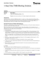 TMB Substrate Kit - Pierce