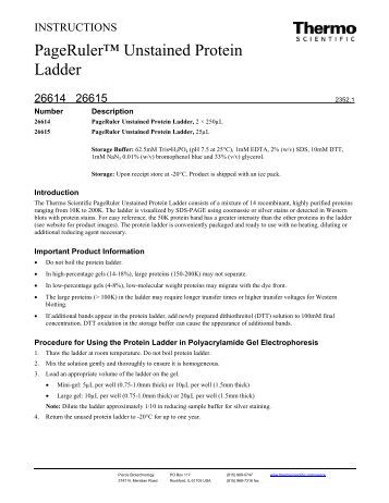 PageRuler™ Broad Range Unstained Protein Ladder - Pierce