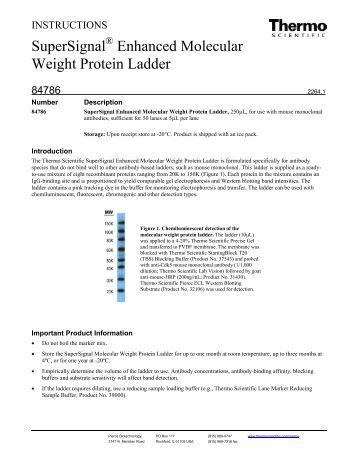 PageRuler™ Broad Range Unstained Protein Ladder - Pierce