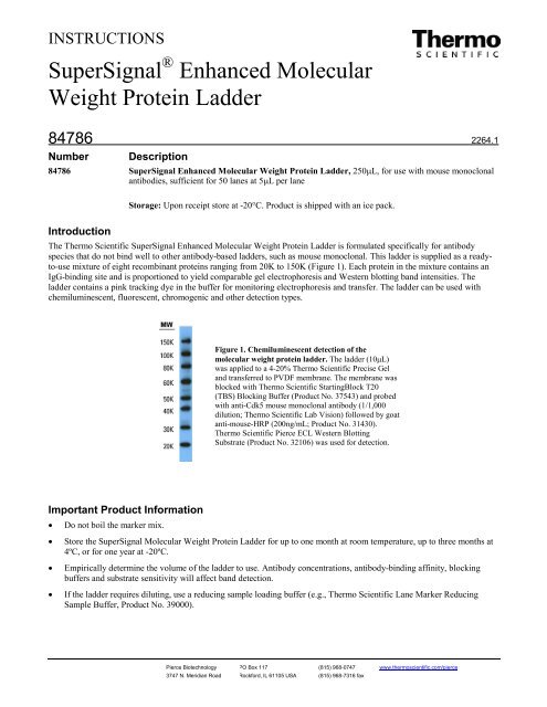 SuperSignal Enhanced Molecular Weight Protein Ladder - Pierce