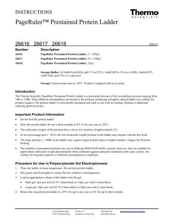 PageRuler™ Broad Range Unstained Protein Ladder - Pierce