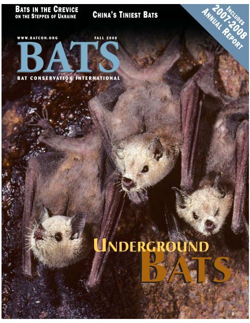 UNDERGROUND - Bat Conservation International