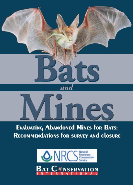 Bat Conservation International