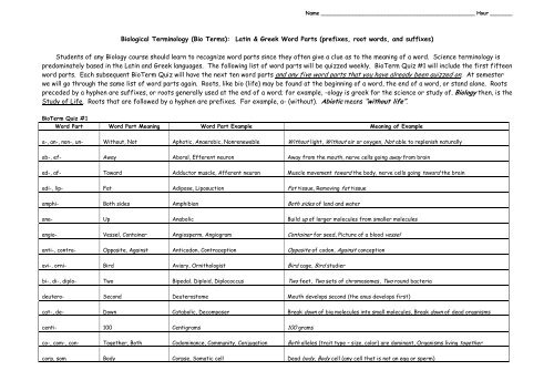 Latin Words For Body Parts