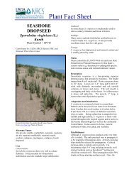 Plant Fact Sheet template - Plant Materials Program - US ...