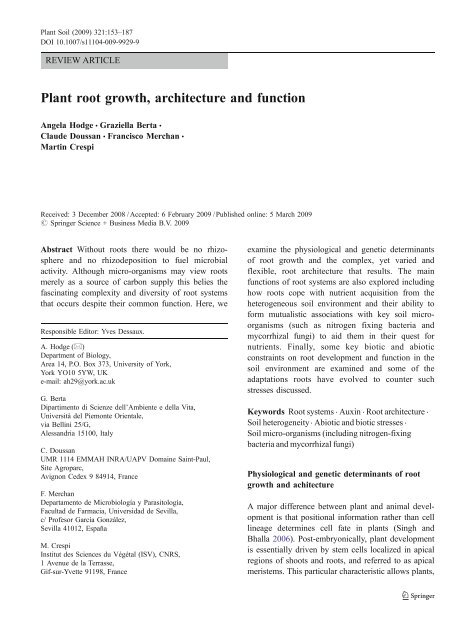 Plant root growth, architecture and function