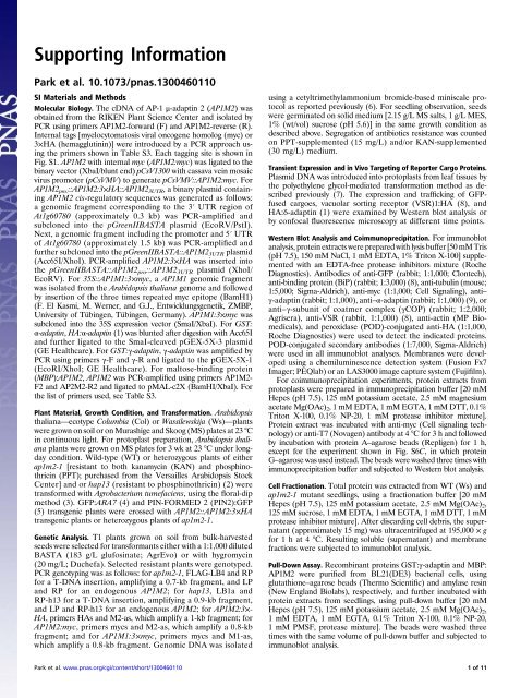 Download Supporting Information (PDF)