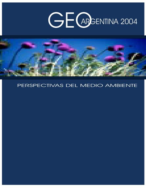 GEO Argentina 2004.pdf - Programa de Naciones Unidas para el ...