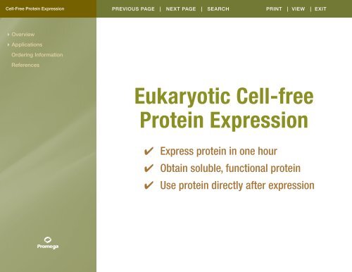 Eukaryotic Cell-free Protein Expression Interactive ... - Promega