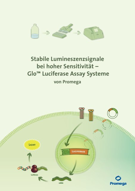 Gloâ„¢ Luciferase Assay Systeme - Promega