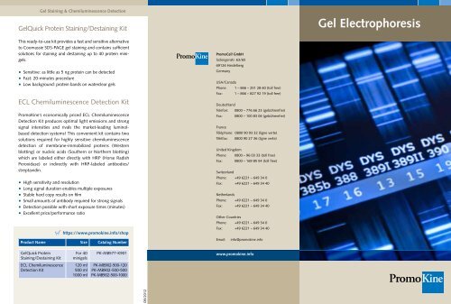 Gel Electrophoresis - PromoCell