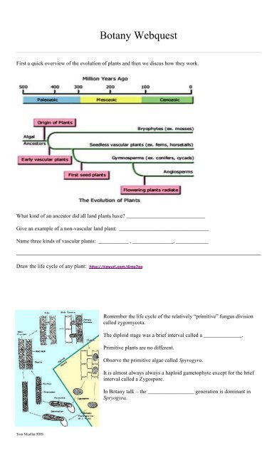 Botany Webquest.pdf - Quia