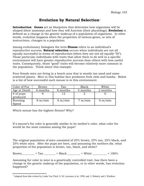 Evolution by Natural Selection - A Simulation