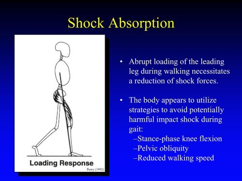 Shock Absorption Perry (1