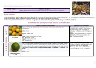 Les fruits exotiques - Restocours.net