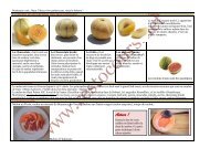 Les fruits exotiques - Restocours.net