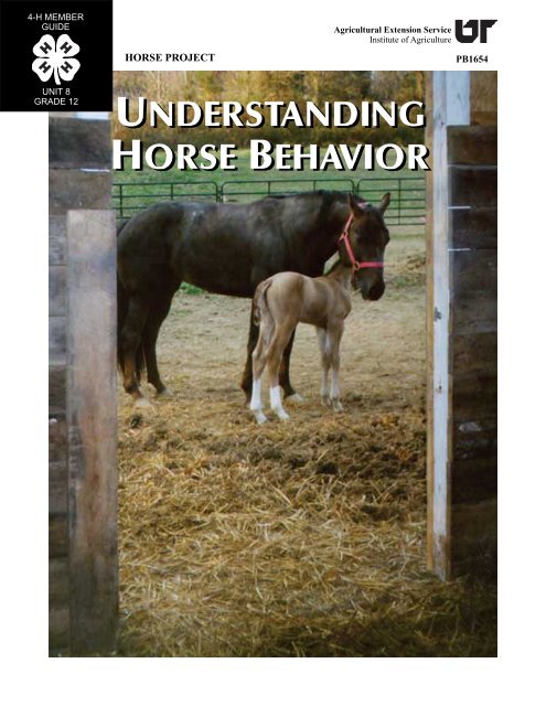 understanding horse behavior understanding horse ... - UT Extension