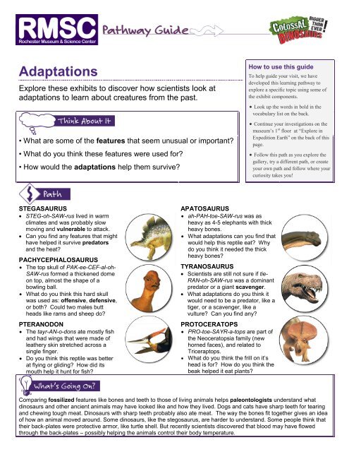 Dinosaur Adaptations - Rochester Museum & Science Center