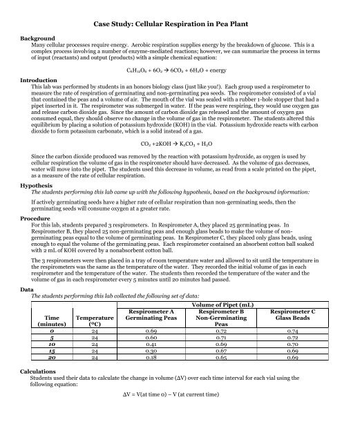 Case Study: Cellular Respiration in Pea Plant
