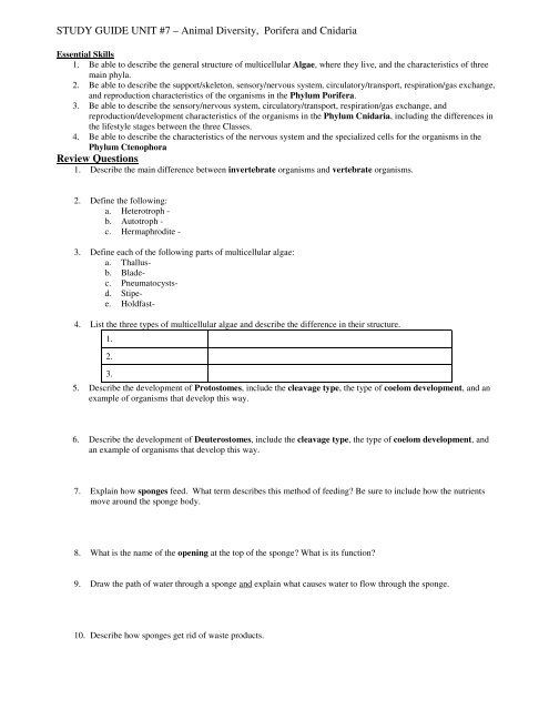 STUDY GUIDE UNIT #7 â Animal Diversity, Porifera and Cnidaria ...