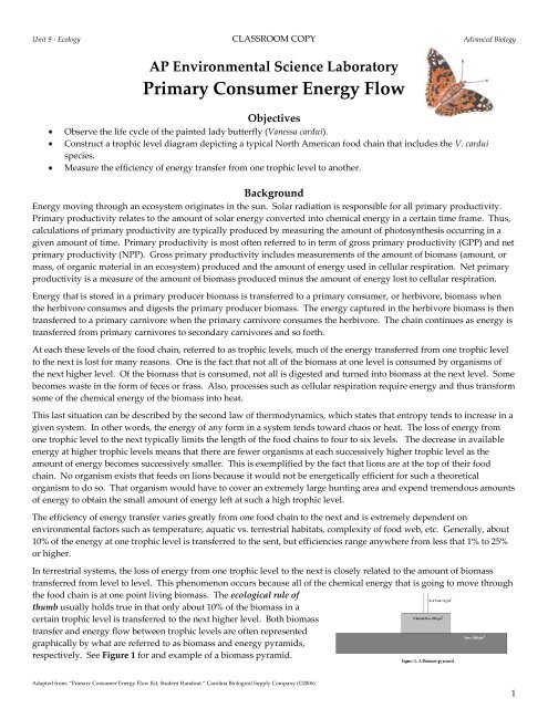 AP Environmental Science Laboratory Primary Consumer Energy Flow