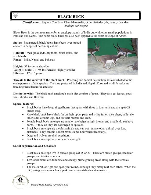 BLACK BUCK - Rolling Hills Zoo