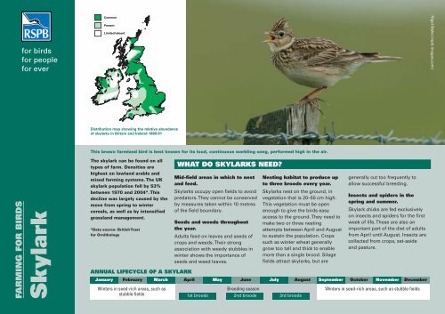 Skylark advisory sheet - RSPB