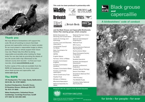 Black grouse and capercaillie. A birdwatchers' code of conduct - RSPB