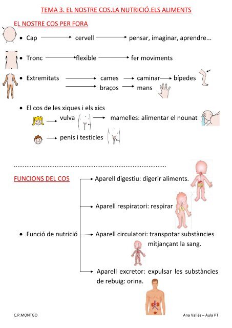 TEMA 3. EL NOSTRE COS.LA NUTRICIÃ .ELS ALIMENTS ... - Aula PT