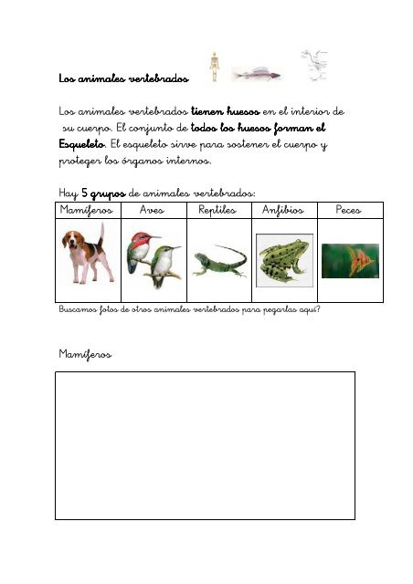 Los animales vertebrados - Aula PT