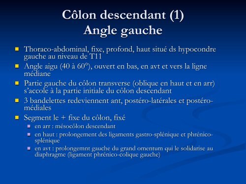 Côlon descendant (1) Ang