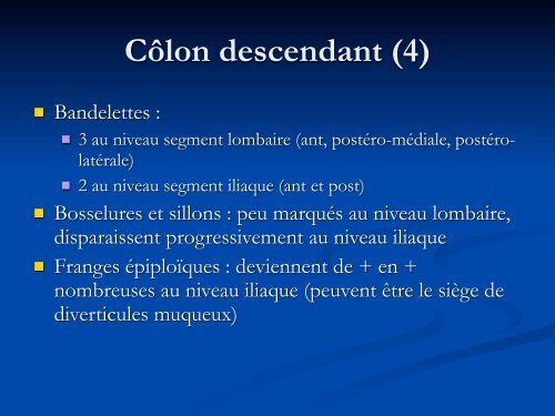 Côlon descendant (3)