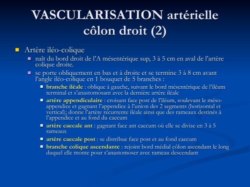 VASCULARISATION artériel