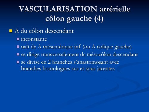 VASCULARISATION artériel
