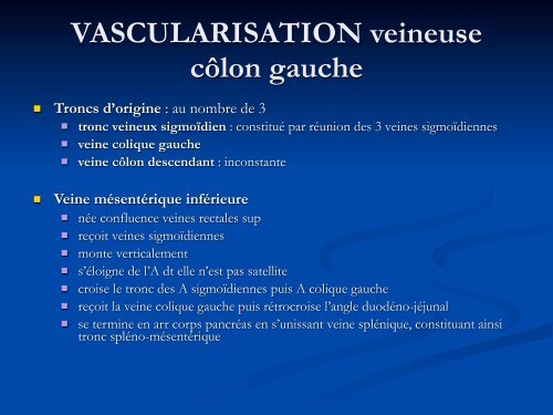 VASCULARISATION veineuse