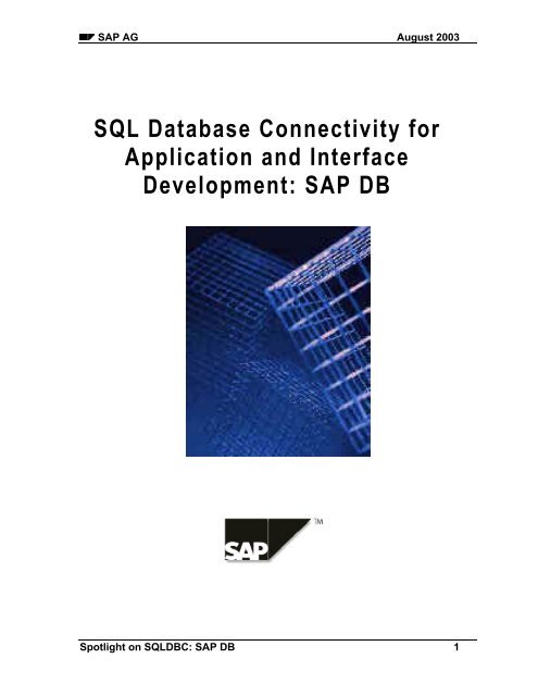 Sql Database Connectivity For Application And Interface Sap Db