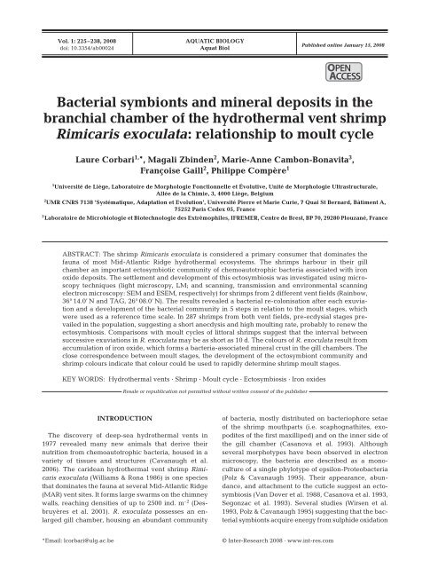 Bacterial symbionts and mineral deposits in the branchial chamber ...