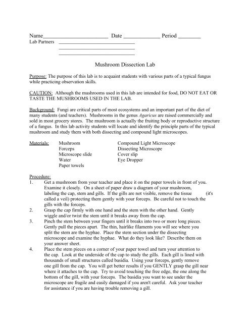 Mushroom Dissection Lab - North American Mycological Association