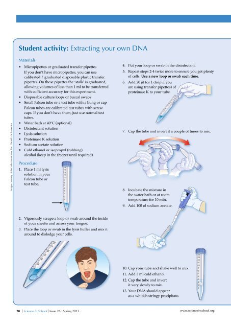 Student activity: Extracting your own DNA - Science in School