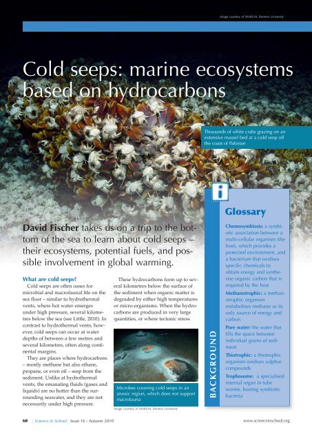Cold seeps: marine ecosystems based on ... - Science in School