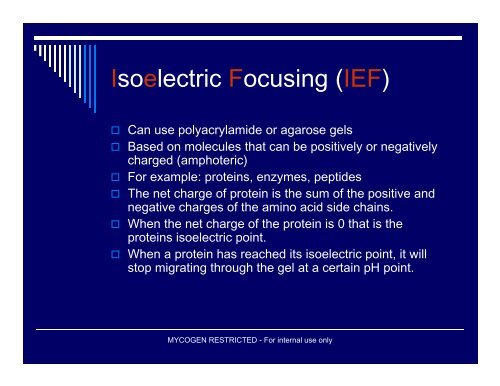 Isoelectric Focusing (IEF)