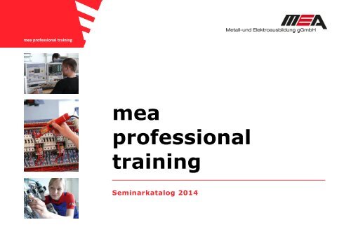 mea professional training