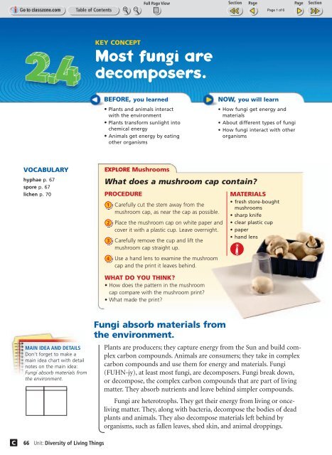 Most fungi are decomposers.