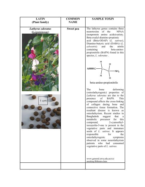 LATIN (Plant family) COMMON NAME SAMPLE TOXIN Lathyrus ...